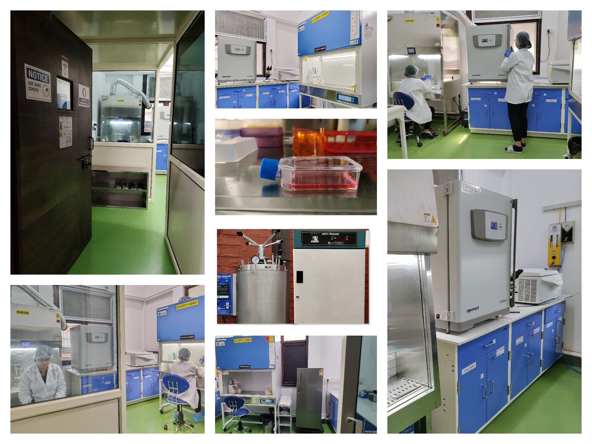 Hansraj College, University of Delhi